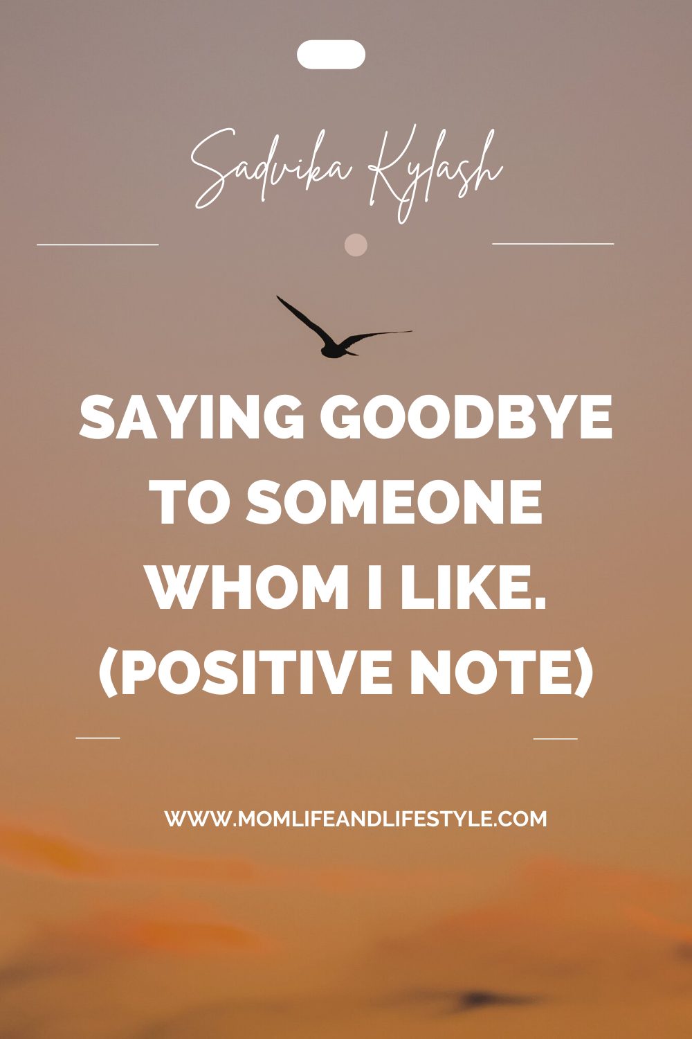Saying goodbye to someone whom I like. (Positive note)